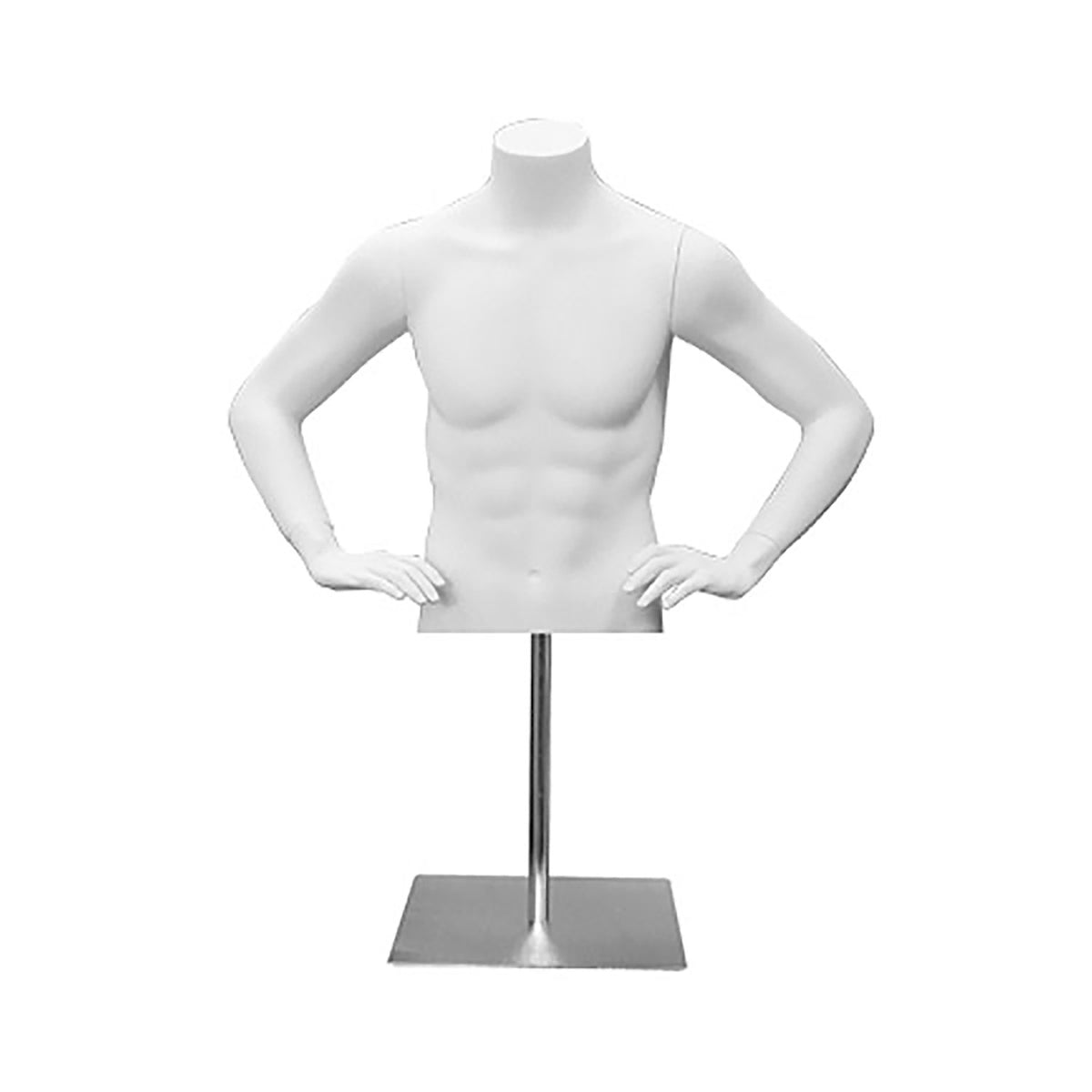 Male White Headless Torso with Stand for Countertop Display 3W – Allen ...